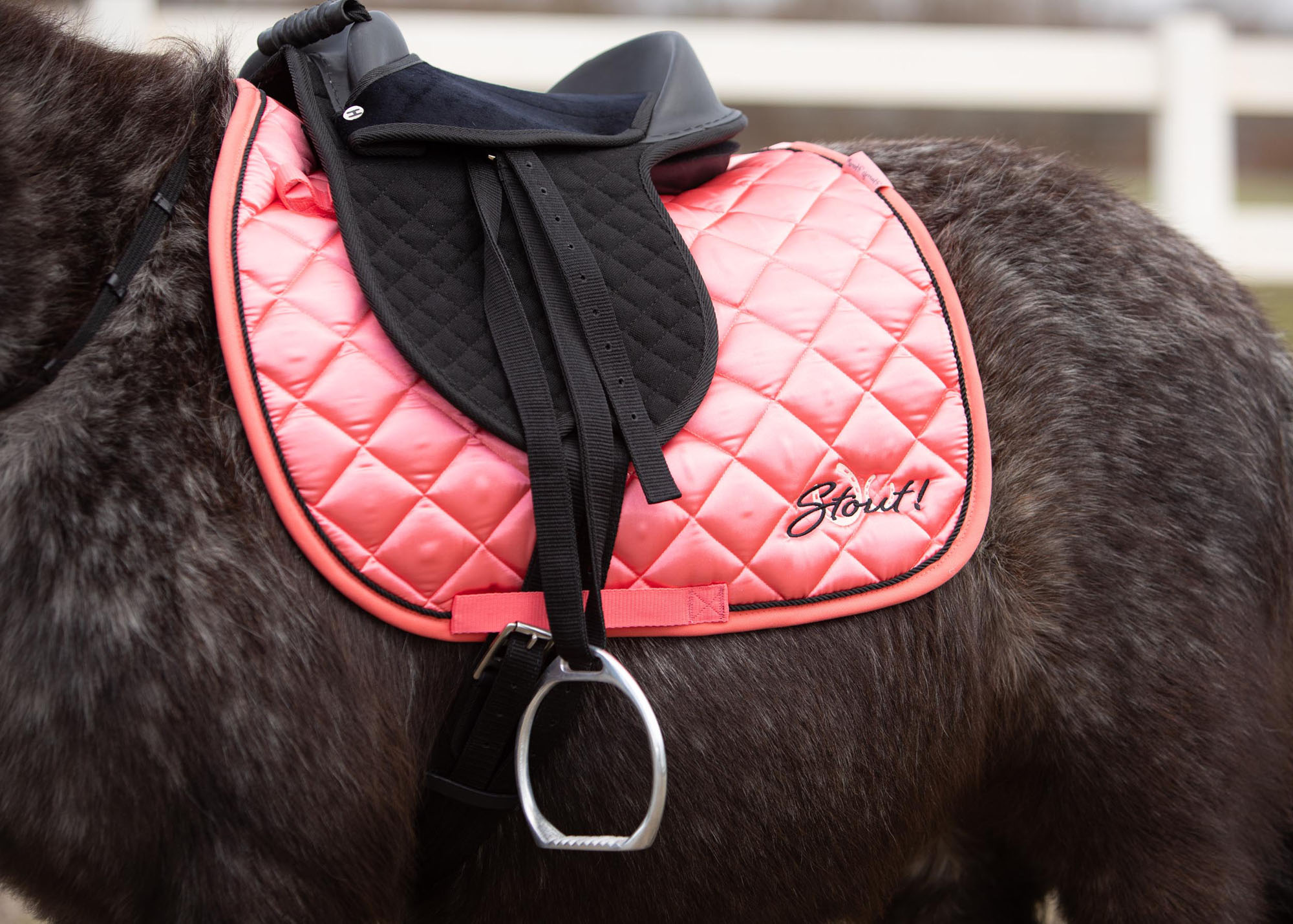 STOUT! Coral LookBook - Harry's Horse